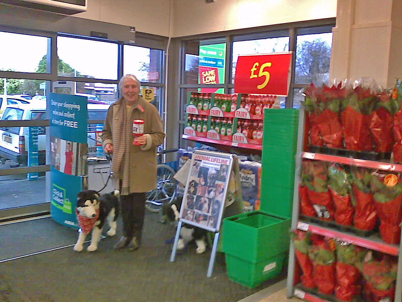 Animal Lifeline - Our Latest News | Animal Lifeline